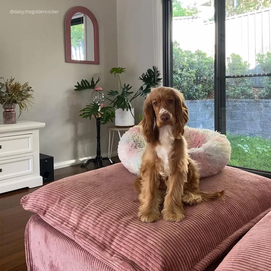 The Cloud Ottoman with Blush Corduroy Slipcover | Black Mango – Black Mango Interiors